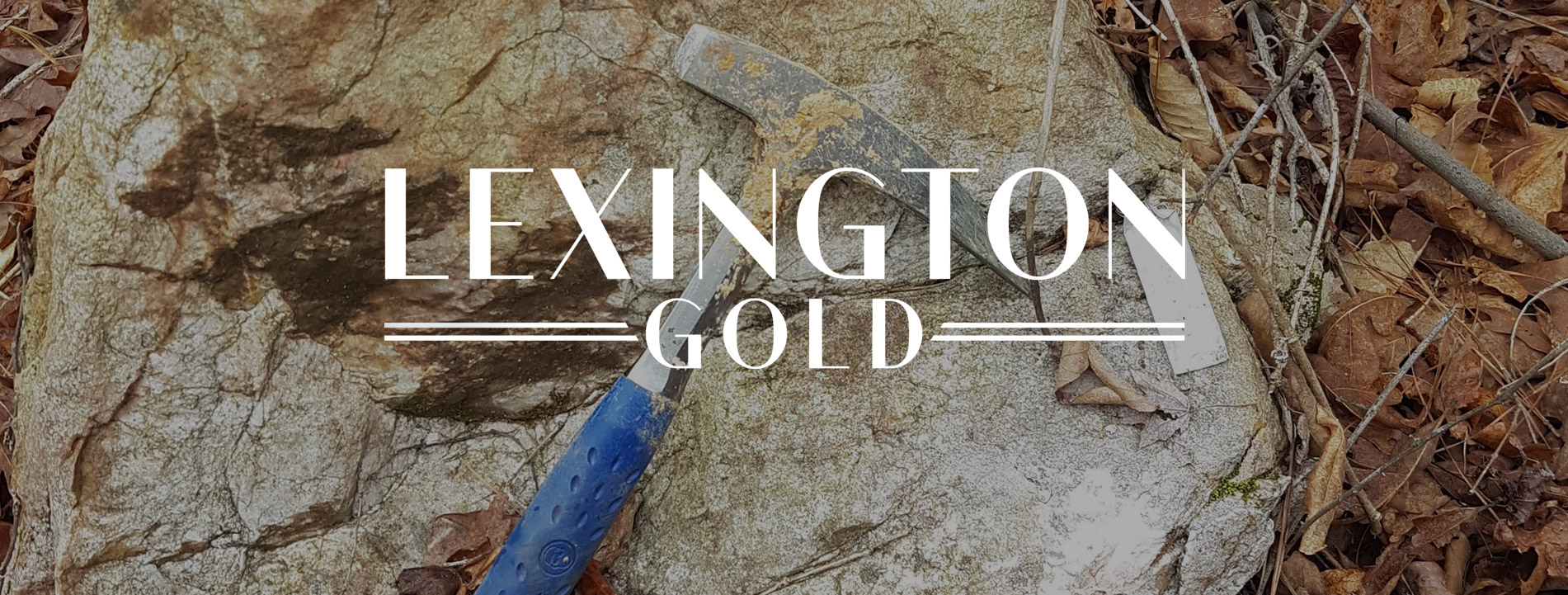 Lexington Gold | Gold exploration and development company with projects ...